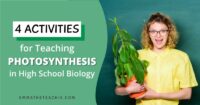 4 Photosynthesis Activities for Your High School Biology Class