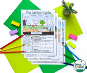 3 Note-Taking Strategies to Try in Your Biology Lessons