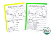 3 Note-Taking Strategies to Try in Your Biology Lessons