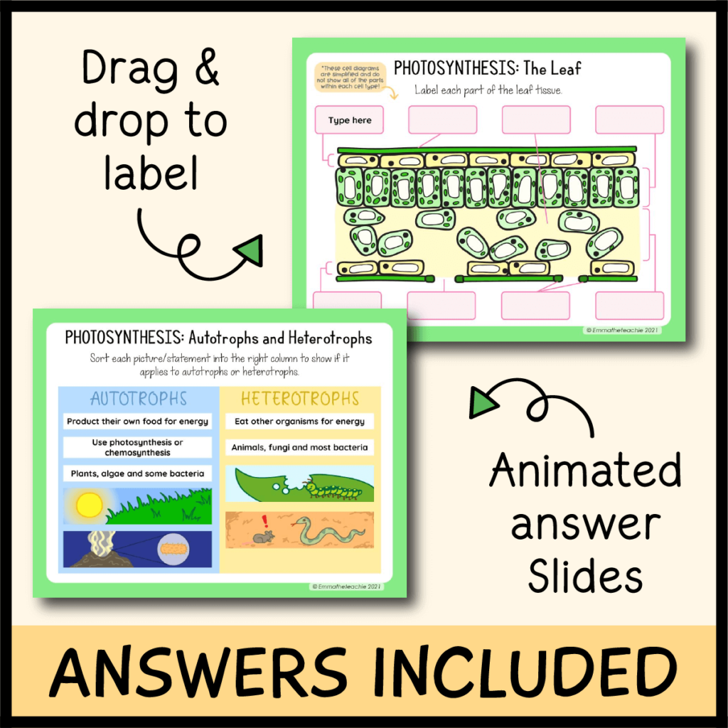 Photosynthesis Google Slides - Emmatheteachie