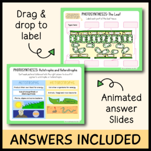 Photosynthesis Google Slides - Emmatheteachie