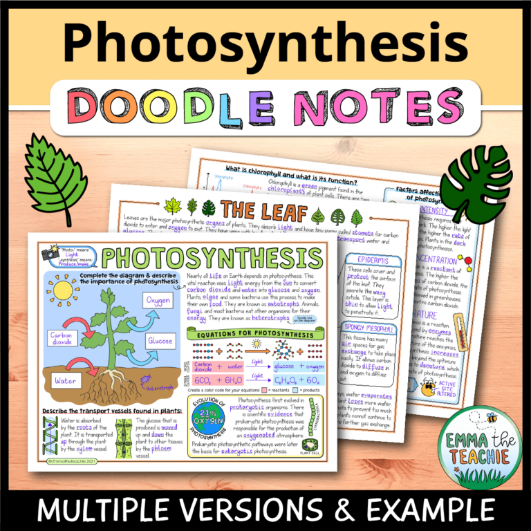 Photosynthesis Doodle Notes - Emmatheteachie