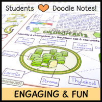 Photosynthesis Doodle Notes - Emmatheteachie