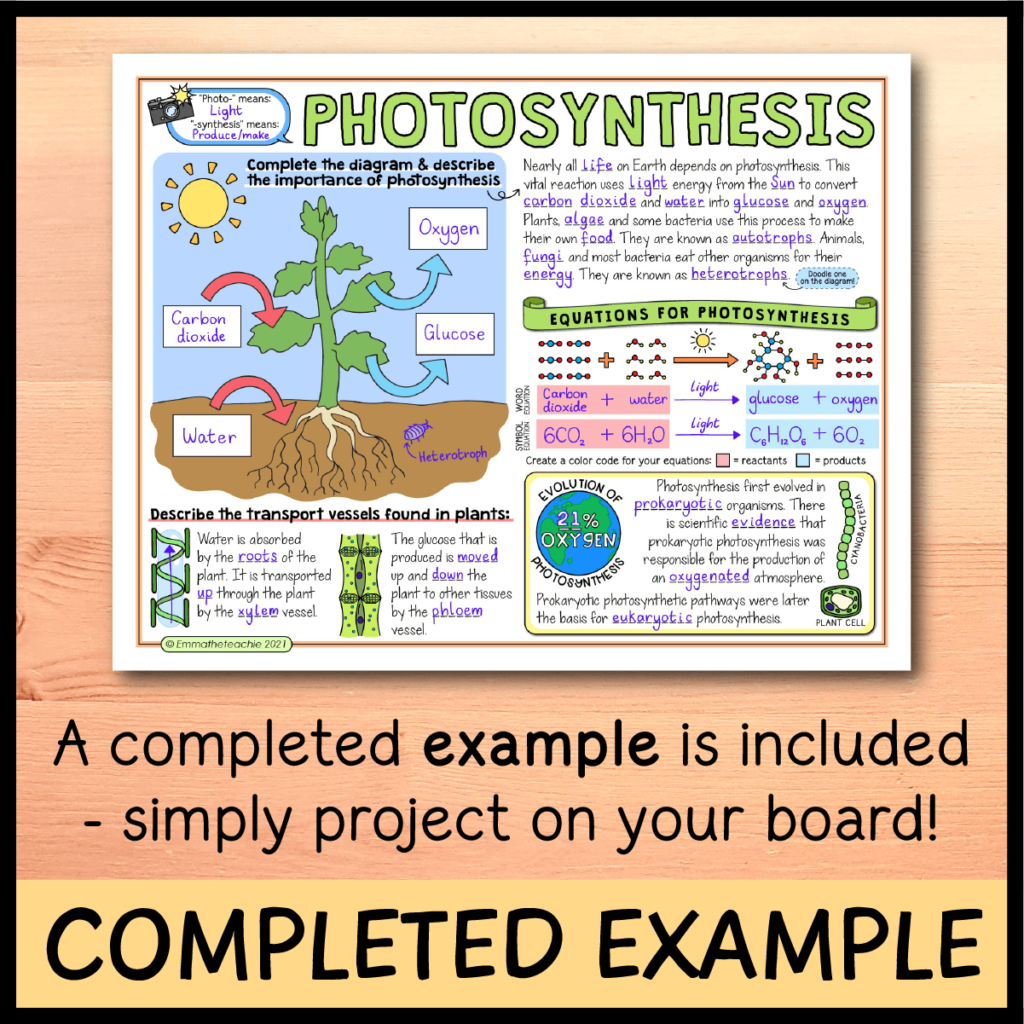 Photosynthesis Doodle Notes - Emmatheteachie
