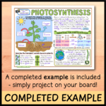 Photosynthesis Doodle Notes - Emmatheteachie