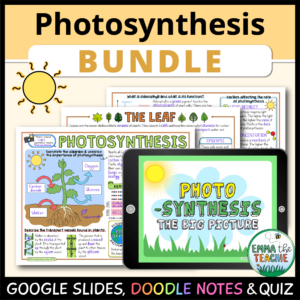 Photosynthesis Doodle Notes - Emmatheteachie