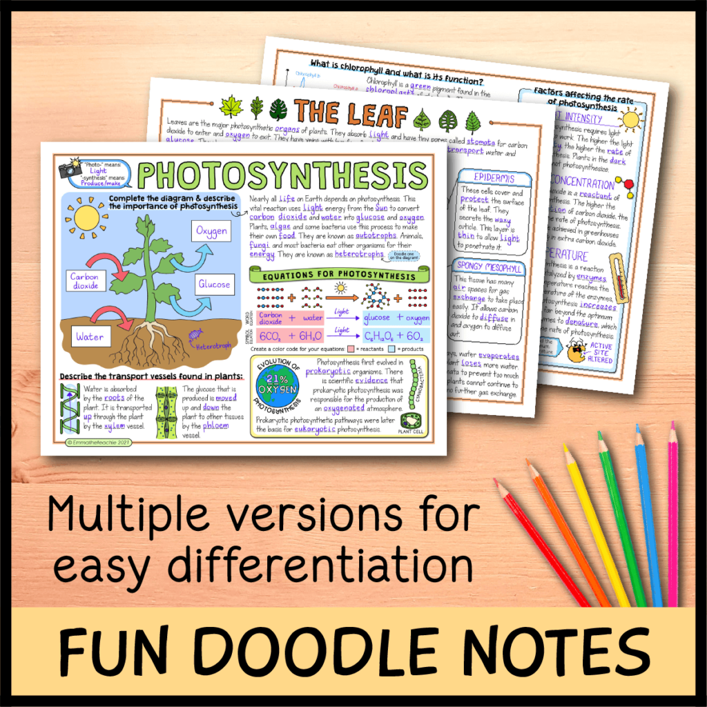 Photosynthesis Lesson Bundle - Emmatheteachie