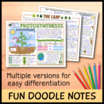Photosynthesis Lesson Bundle - Emmatheteachie