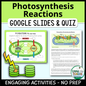 Photosynthesis Reactions Google Slides - Emmatheteachie