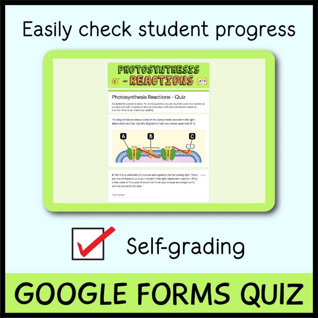Photosynthesis Reactions Google Slides - Emmatheteachie