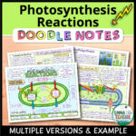 Photosynthesis Doodle Notes - Emmatheteachie