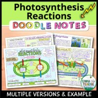 Photosynthesis Doodle Notes - Emmatheteachie