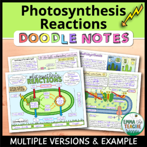 Photosynthesis Doodle Notes - Emmatheteachie