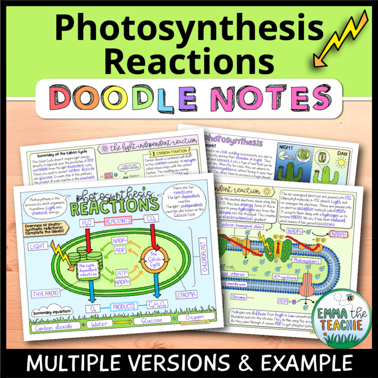Photosynthesis Doodle Notes - Emmatheteachie