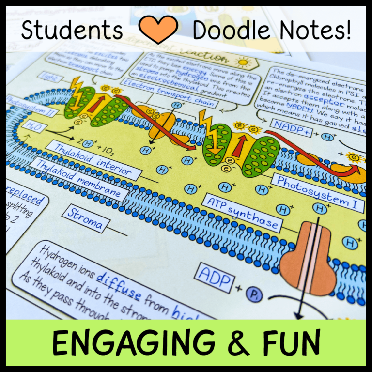 Photosynthesis Reactions Doodle Notes - Emmatheteachie