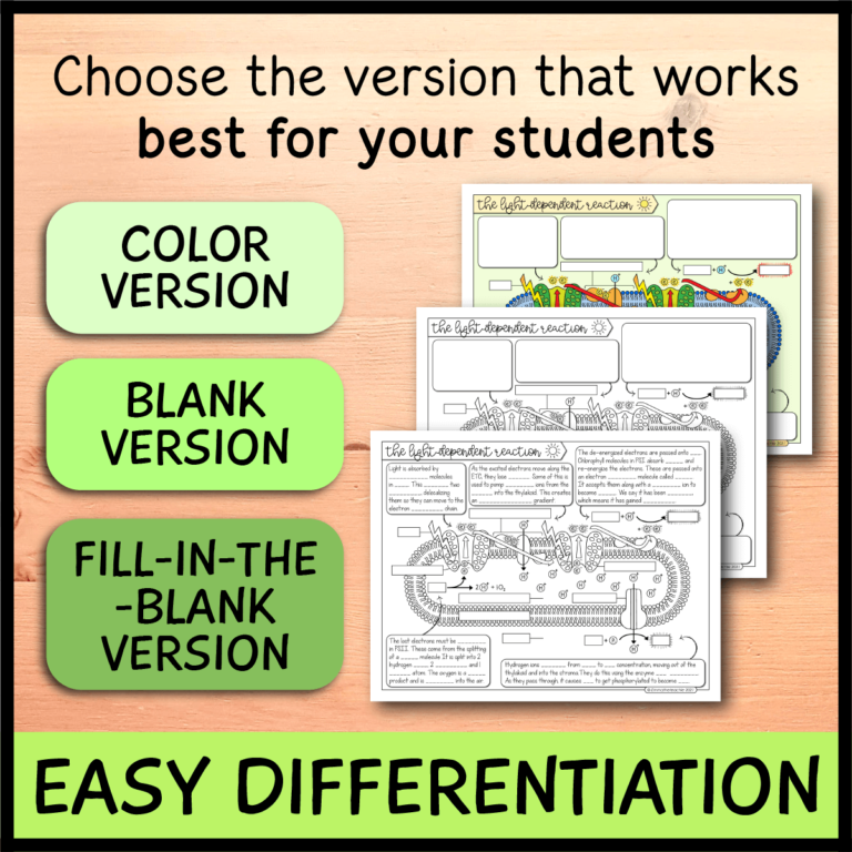 Photosynthesis Reactions Doodle Notes - Emmatheteachie