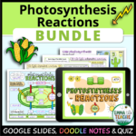 Photosynthesis Reactions Google Slides - Emmatheteachie