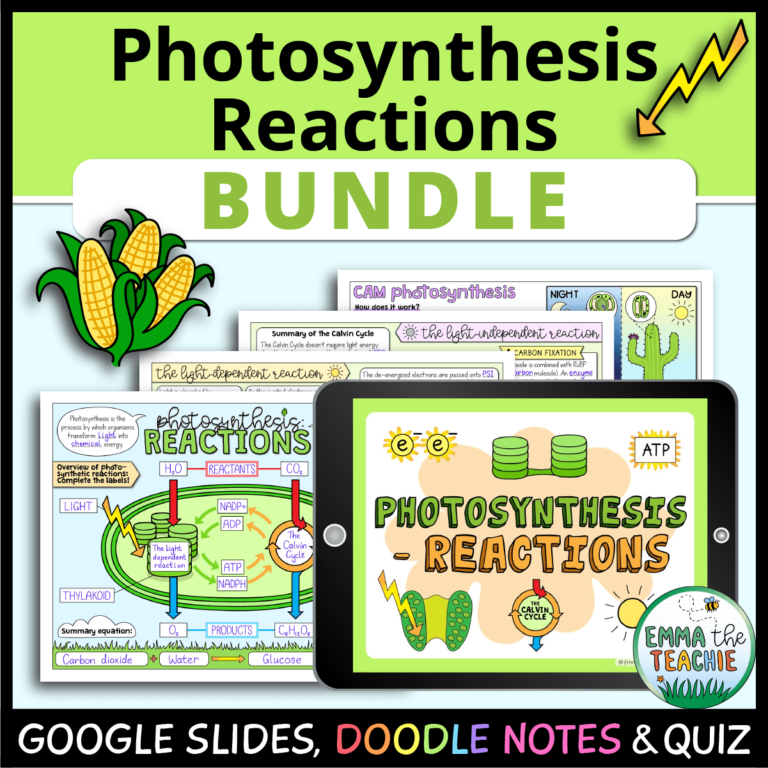 Photosynthesis Doodle Notes - Emmatheteachie
