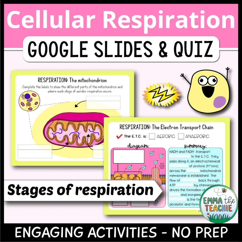 Cellular Respiration Google Slides Activities - Emmatheteachie