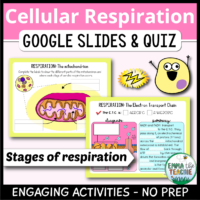 Cellular Respiration Lesson - Emmatheteachie Resources
