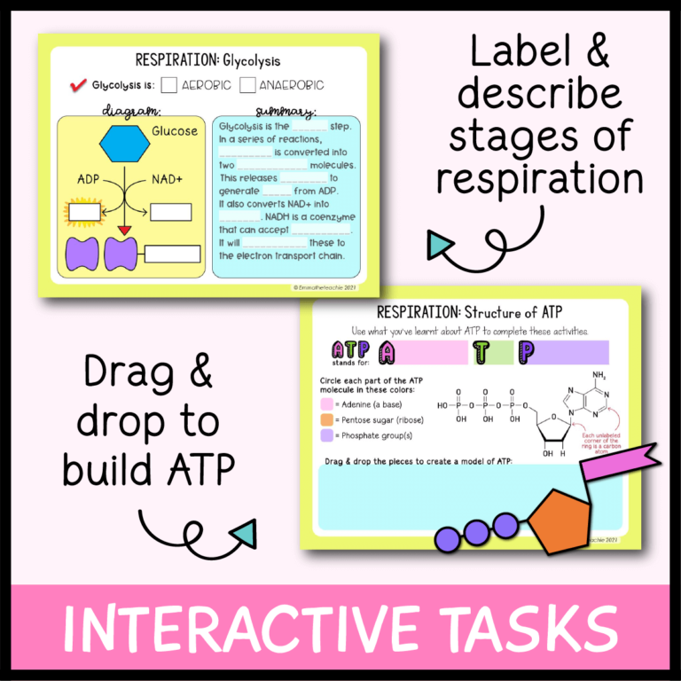 Cellular Respiration Google Slides Activities - Emmatheteachie