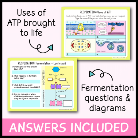 Cellular Respiration Google Slides Activities - Emmatheteachie