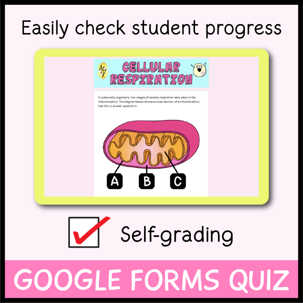 Cellular Respiration Google Slides Activities - Emmatheteachie