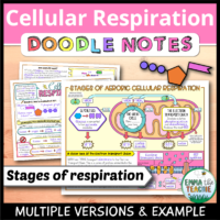 Photosynthesis and Respiration Unit Doodle Notes - Emmatheteachie