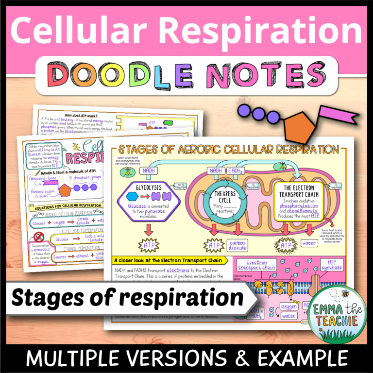 Cellular Respiration Google Slides Activities - Emmatheteachie