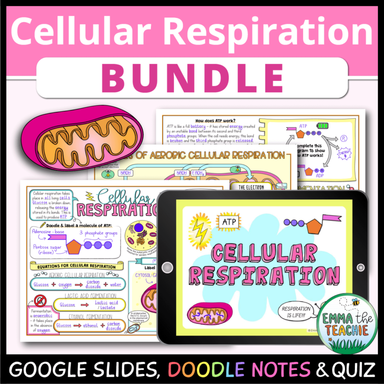 Cellular Respiration Google Slides Activities - Emmatheteachie