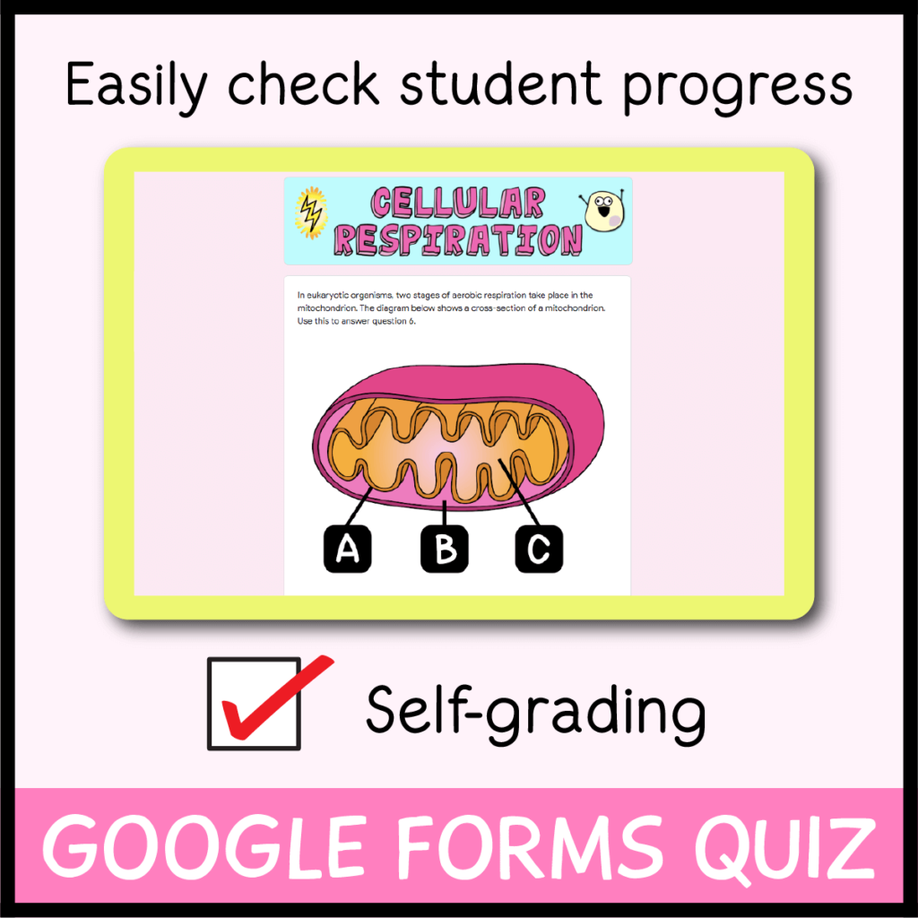 Cellular Respiration Lesson - Emmatheteachie Resources