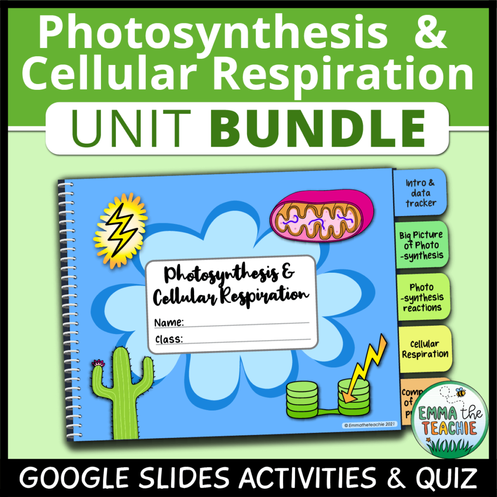 Photosynthesis Google Slides - Emmatheteachie