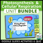 Photosynthesis and Respiration Unit Bundle of Doodle Notes