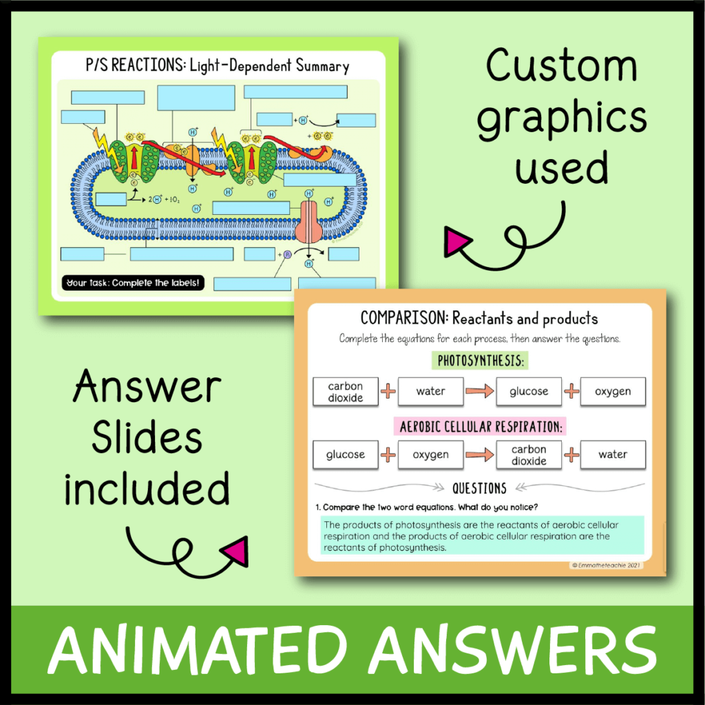 Photosynthesis and Cellular Respiration Unit Bundle Google Slides