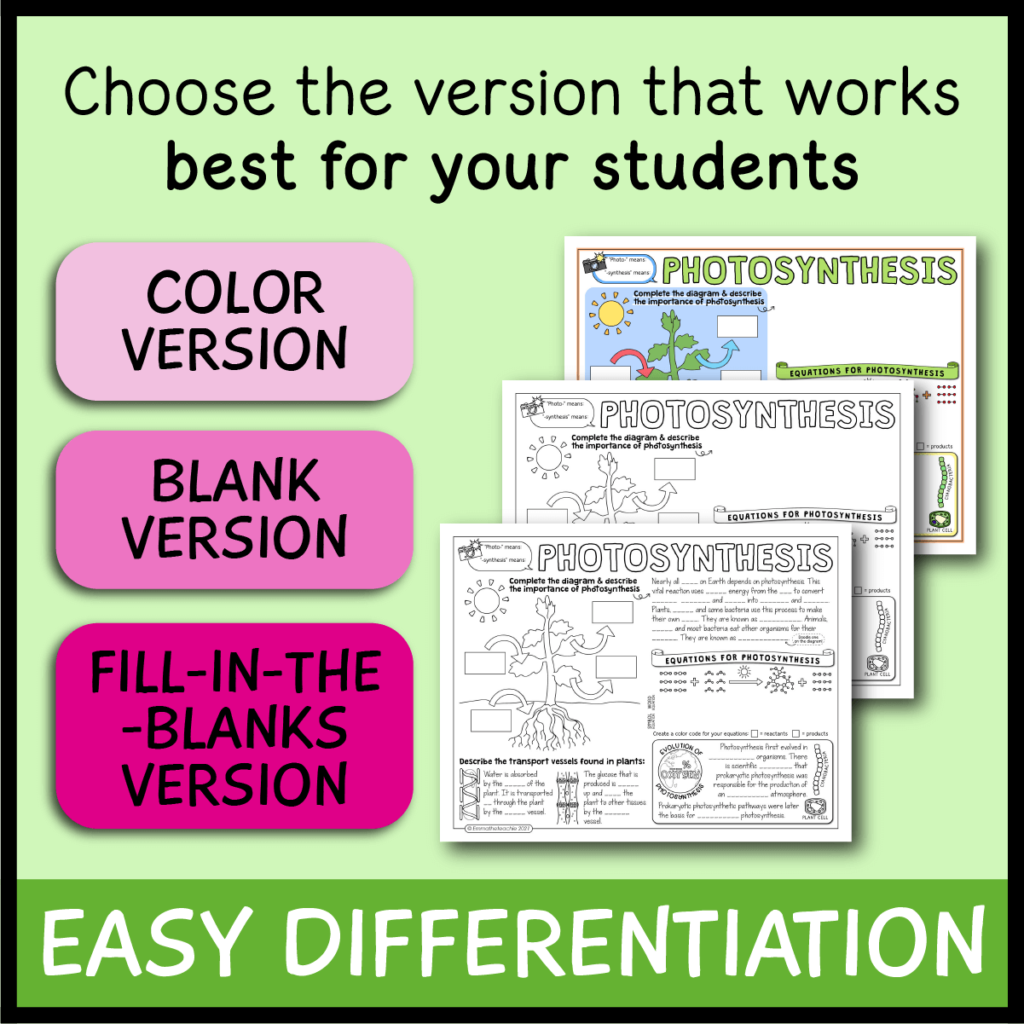 Photosynthesis and Respiration Unit Bundle of Doodle Notes