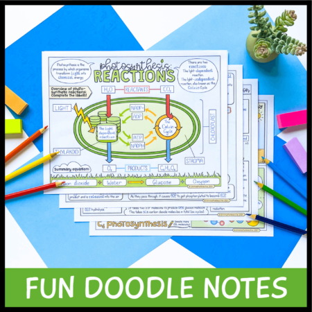 Photosynthesis and Respiration Big Unit Bundle - Emmatheteachie