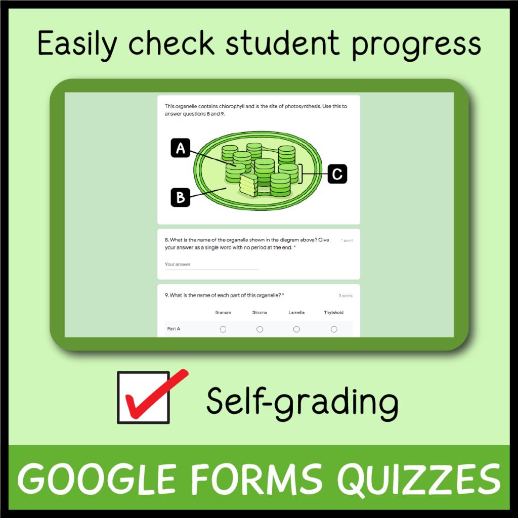 Photosynthesis and Respiration Big Unit Bundle - Emmatheteachie