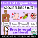 Levels of Organization Google Slides - Emmatheteachie Resources