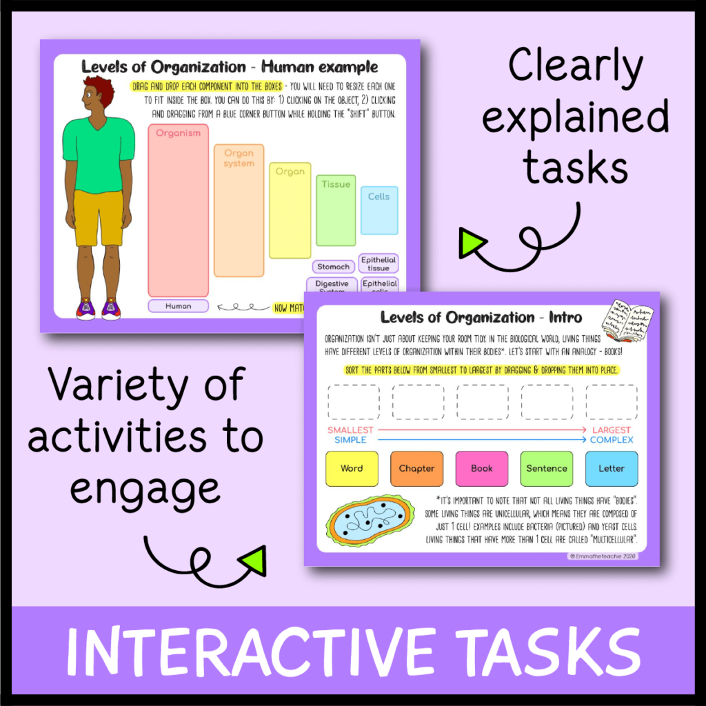 Levels of Organization Google Slides - Emmatheteachie Resources
