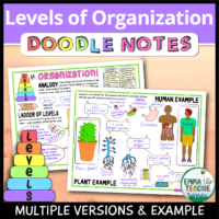 Levels of Organization Doodle Notes - Emmatheteachie Resources