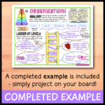 Levels of Organization Doodle Notes - Emmatheteachie Resources