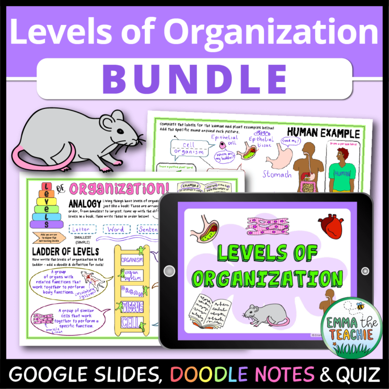 Levels of Organization Doodle Notes - Emmatheteachie Resources