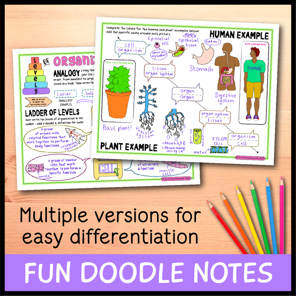 Levels of Organization Lesson Bundle - Emmatheteachie