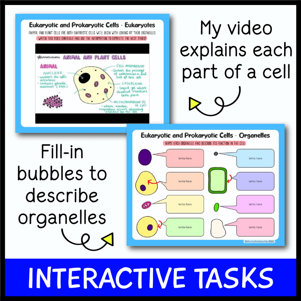 Eukaryotic and Prokaryotic Cells Google Slides - Emmatheteachie