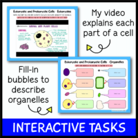 Eukaryotic and Prokaryotic Cells Google Slides - Emmatheteachie