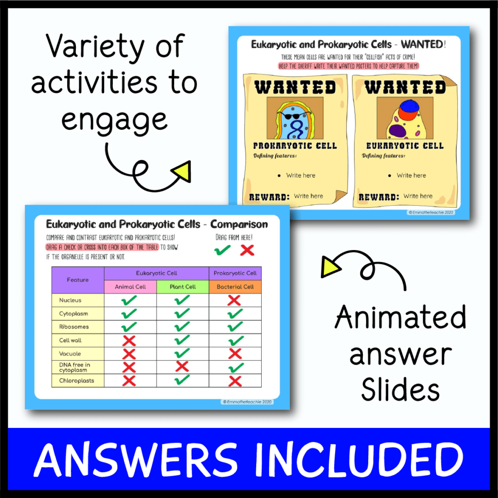 Eukaryotic and Prokaryotic Cells Google Slides - Emmatheteachie
