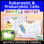 Eukaryotic and Prokaryotic Cells Google Slides - Emmatheteachie