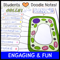 Eukaryotic and Prokaryotic Cells Doodle Notes - Emmatheteachie