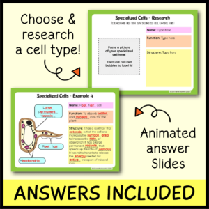 Specialized Cells Google Slides - Emmatheteachie
