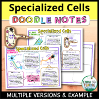 Specialized Cells Doodle Notes - Emmatheteachie